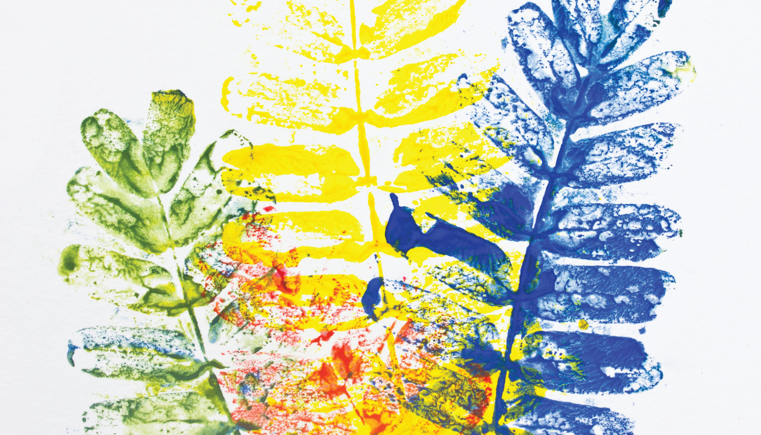 Nature as Art - UAB Arts Alliance | UAB Arts Alliance: Experience Art ...